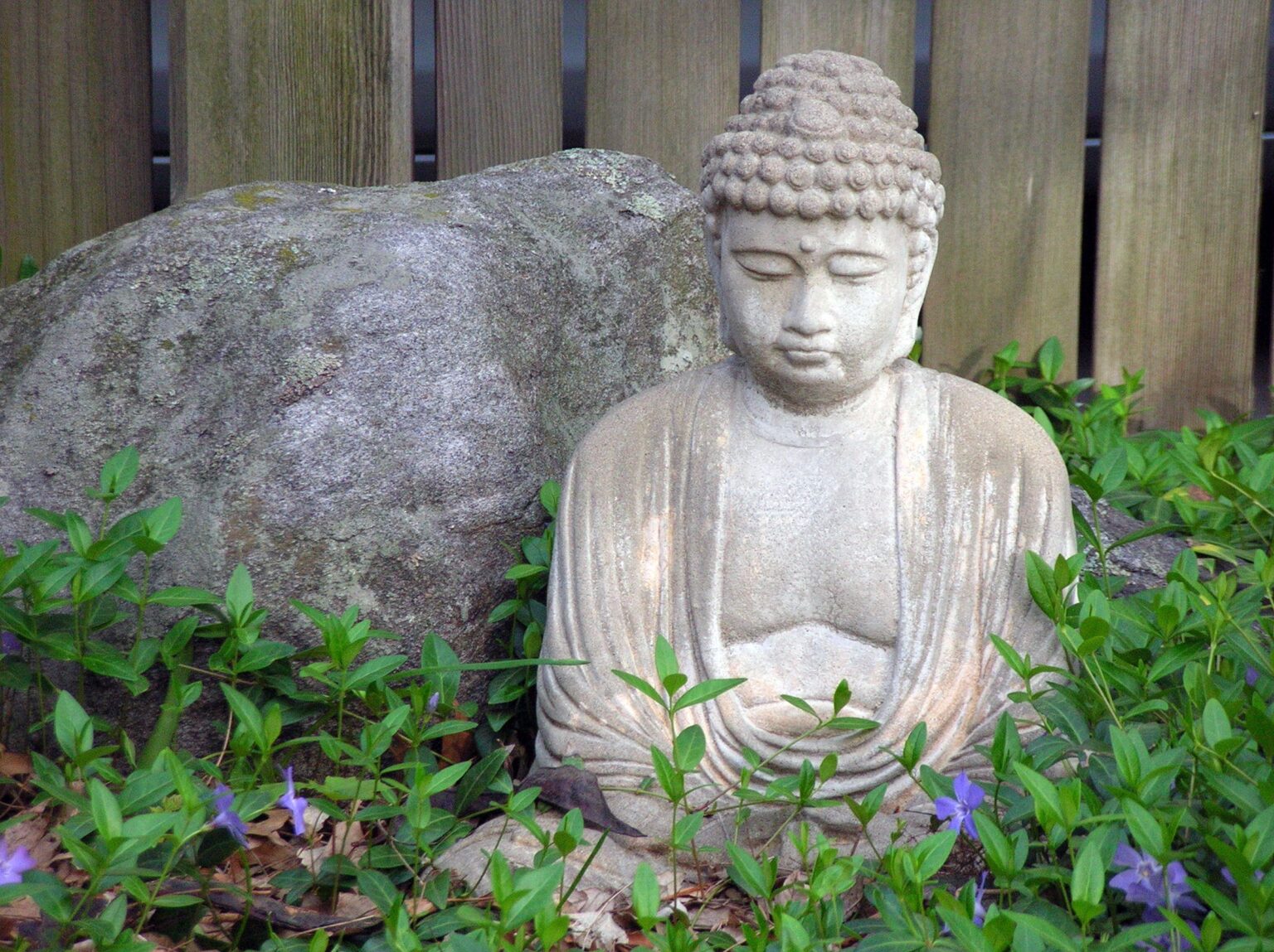 Cambridge Insight Meditation Center